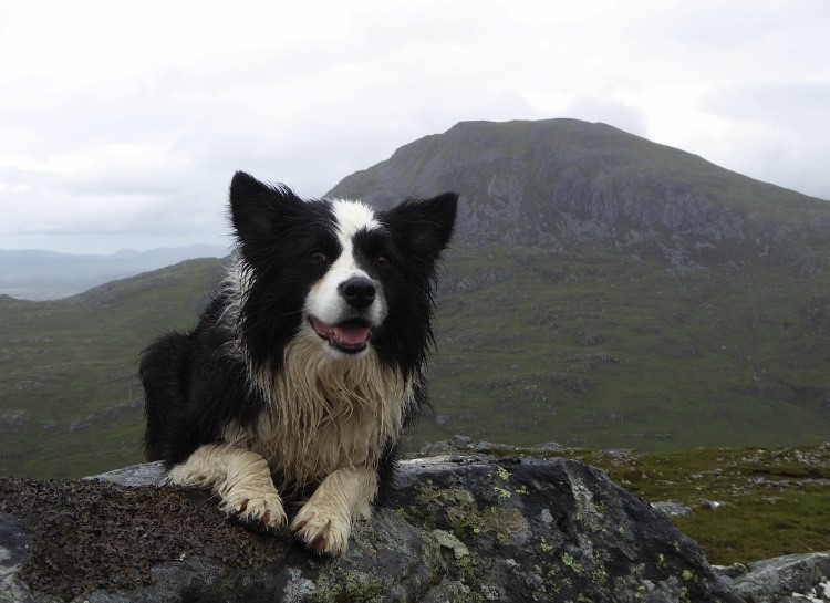 Scourie Hill Lochs - and the Perfect One - The Highland Angler